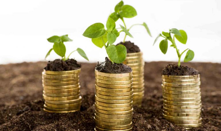 Impuesto verde: qué es, cuánto recaudó y cómo se aplica en las ...