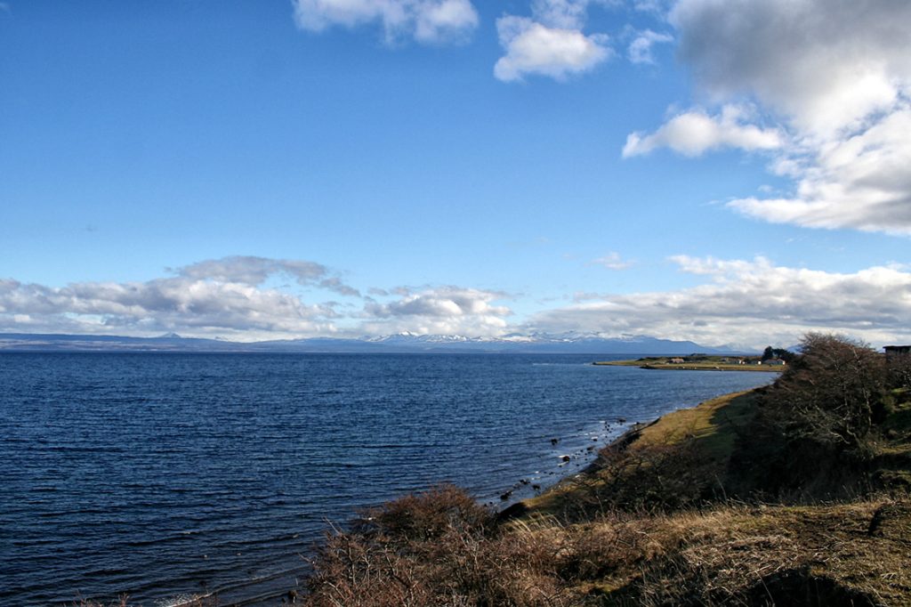 Empresas Nova Austral y Trusal forman un “joint venture” para la ...