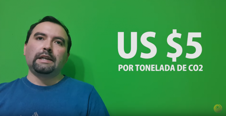 [Videocolumna] Impuesto verde: ¿pobre en recaudación o en desempeño ...