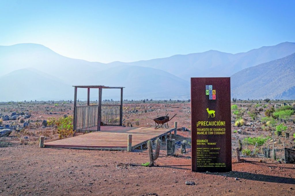 Dominga pasa a la ofensiva y empieza a tramitar más de 700 permisos ...